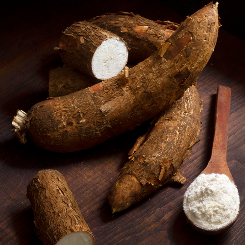 Modified Tapioca Starch - Gulfood Manufacturing 2023