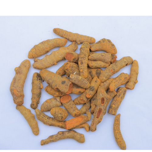 Turmeric finger Single Polished - Gulfood 2025
