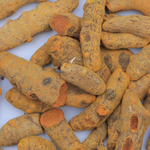 Turmeric finger Single Polished - Gulfood 2025