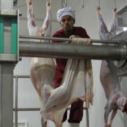 Sheep skinning machine - Gulfood Manufacturing 2025