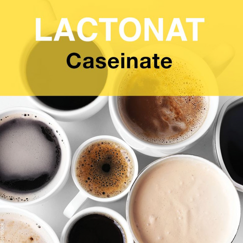 Lactonat - caseinate, highly functional milk proteins for natural ...