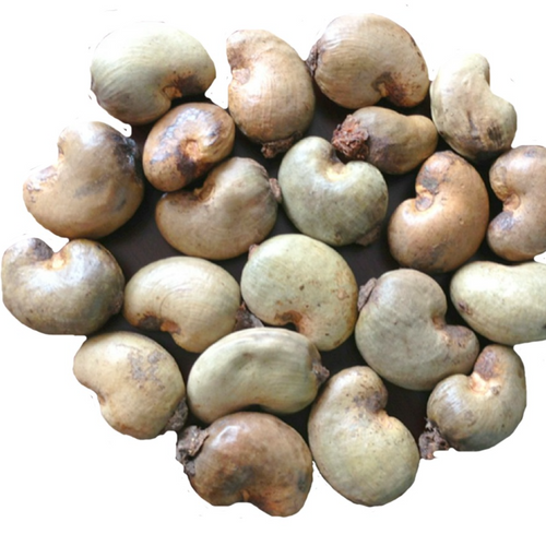 CASHEW KERNELS - Gulfood 2026