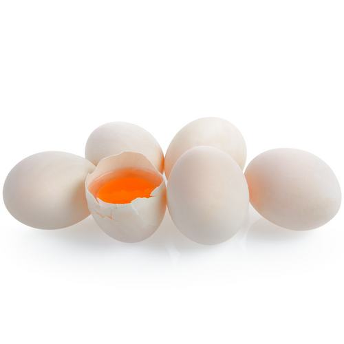Omega-3 Premium Eggs - Gulfood 2026