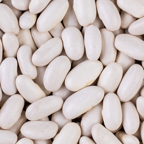 Alubia Beans - Gulfood 2026