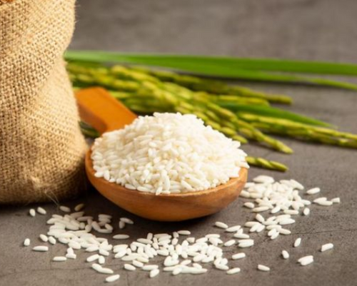 Konjac Rice Brochure - Gulfood 2026