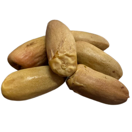 DEGLA BEIDA DATES - Gulfood 2026