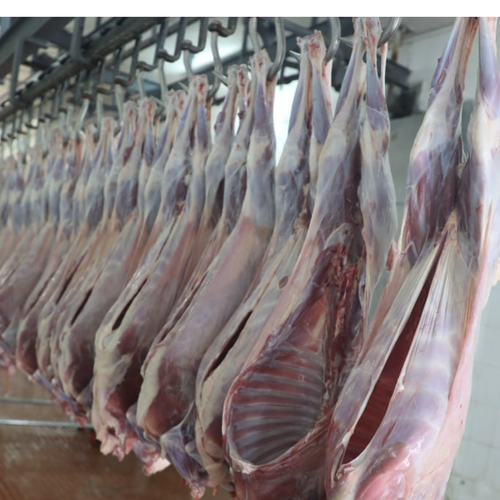 Goat Meat - Gulfood 2026