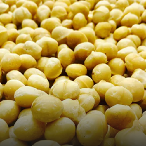 Macadamia Kernel, Nut-in-Shell - Gulfood 2026