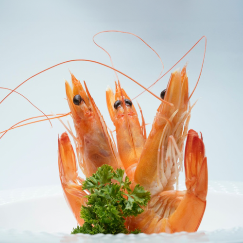 Head On Shell on Shrimp - Gulfood 2026