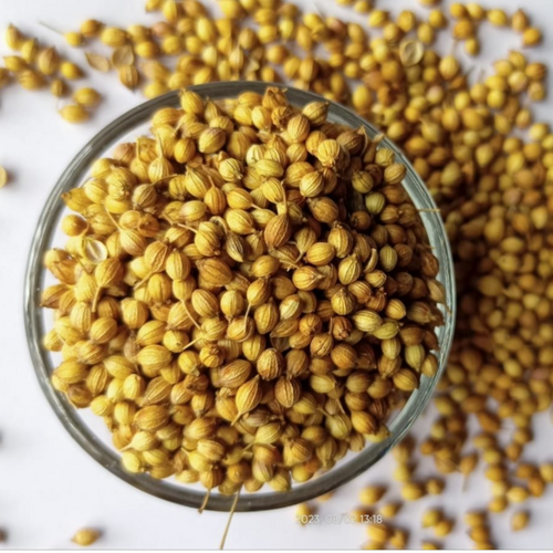 Coriander Whole and Powder - Gulfood 2026