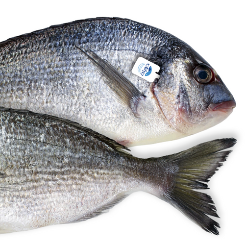 Farmed Sea Bream - Gulfood 2026