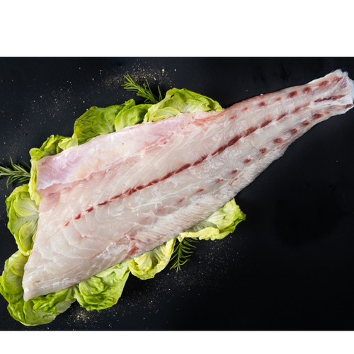 Meagre Fillet - Gulfood 2026