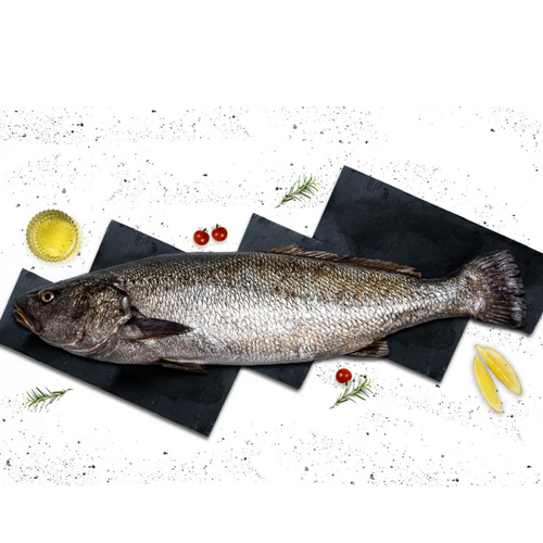 MEAGRE - Gulfood 2026