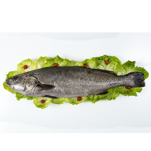 MEAGRE - Gulfood 2026