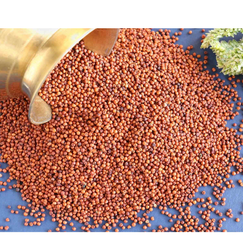 High-Protein Ragi Crispy - Gulfood 2026