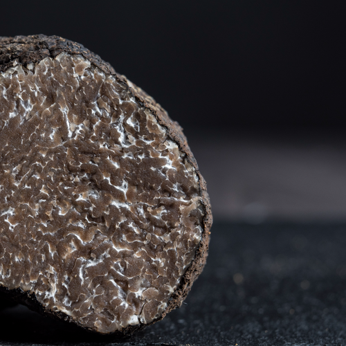 Fresh Truffle - Gulfood 2026