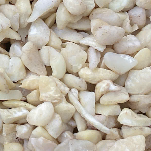 White kernels grade SP - Gulfood 2026