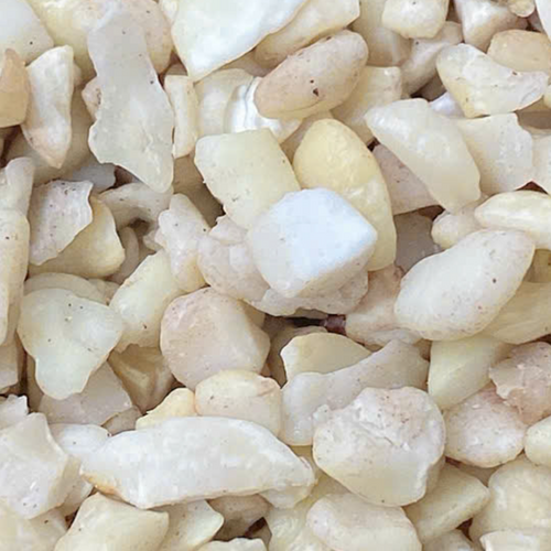 White kernels grade SP - Gulfood 2026