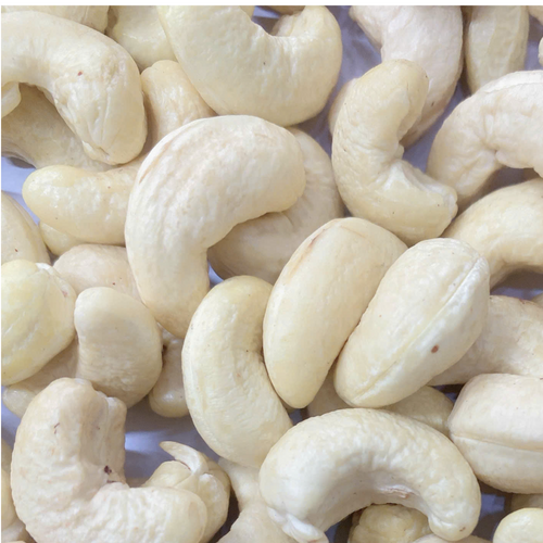 White kernels grade WW320 - Gulfood 2026