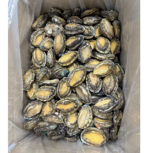 Frozen Cooked Abalone Meat - Gulfood 2026