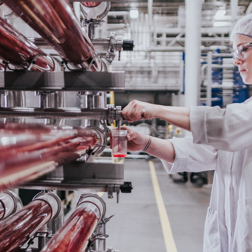 Cranberry juice 8 brix, clear & pasteurized - Gulfood 2026