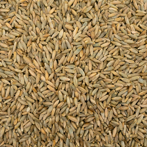 Organic Rye - Gulfood 2026