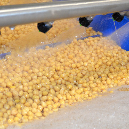 Organic Chickpeas Tin 3kg - Gulfood 2026