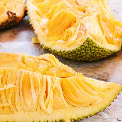 Jackfruit Meat - Gulfood 2026