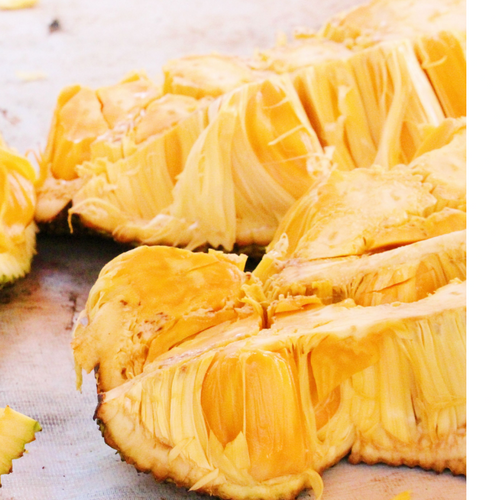 Jackfruit Meat - Gulfood 2026