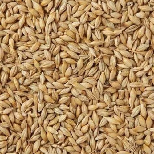 BARLEY - Gulfood 2026