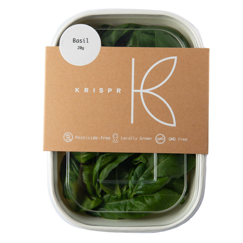 Genovese Basil, 20g - Gulfood 2026