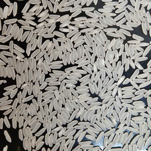 DT8 FRAGRANT RICE - Gulfood 2026