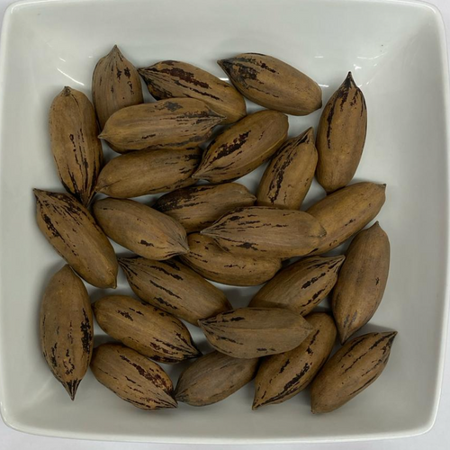 Mahan Pecan - Gulfood 2026
