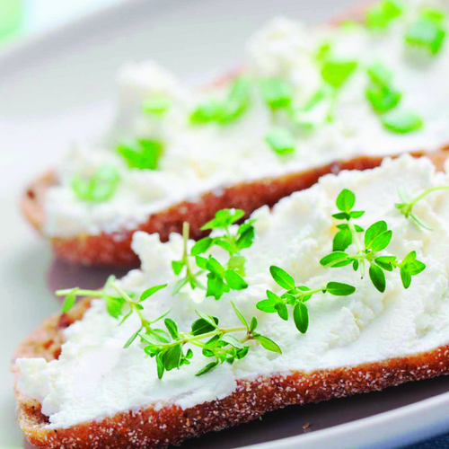 Rasa Cream Cheese Professional 25% - Gulfood 2026