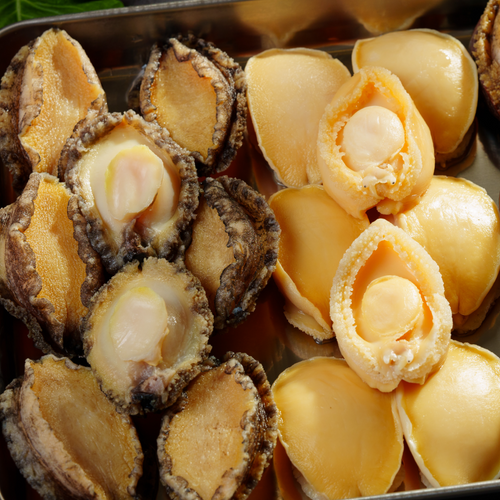FROZEN BOILED ABALONE MEAT - Gulfood 2026