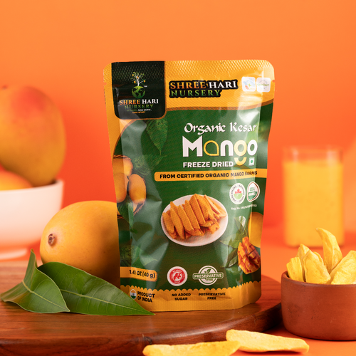 ORGANIC KESAR MANGO FREEZE DRIED SLICE - Gulfood 2026