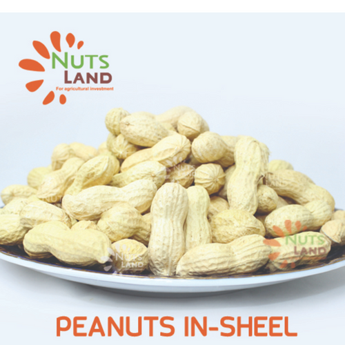 Peanuts In-Sheel - Gulfood 2026