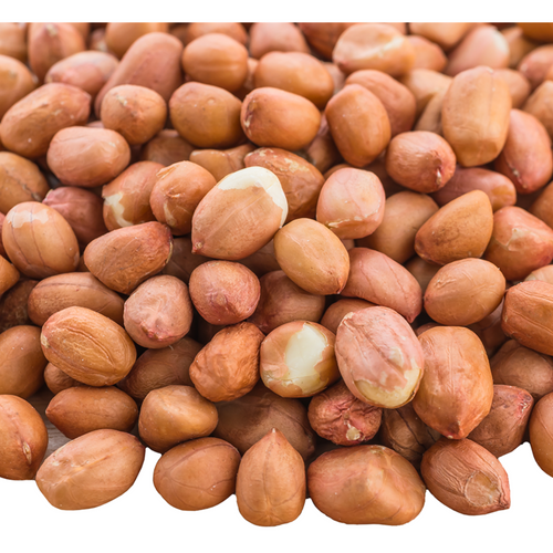 Runner Peanuts - Gulfood 2026