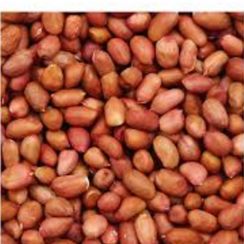 Red-Skin Peanuts - Gulfood 2026