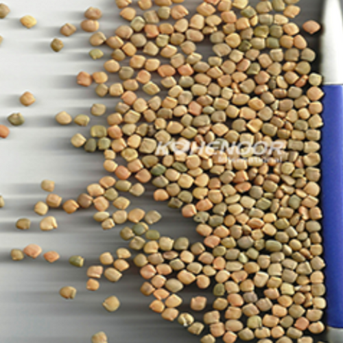 Guar Seeds, Cyamopsis tetragonoloba, Guar Bean Seeds, Guar Plant Seeds ...