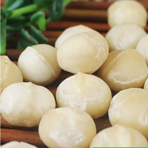 MACADAMIA NUTS KERNEL - Gulfood 2026
