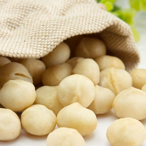 MACADAMIA NUTS KERNEL - Gulfood 2026