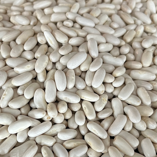 Alubia Beans - Gulfood 2026