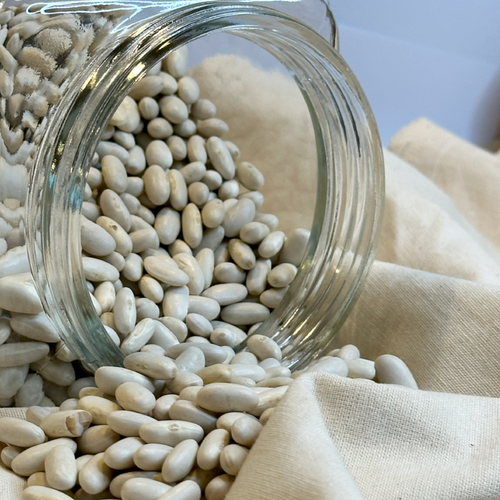 Alubia Beans - Gulfood 2026