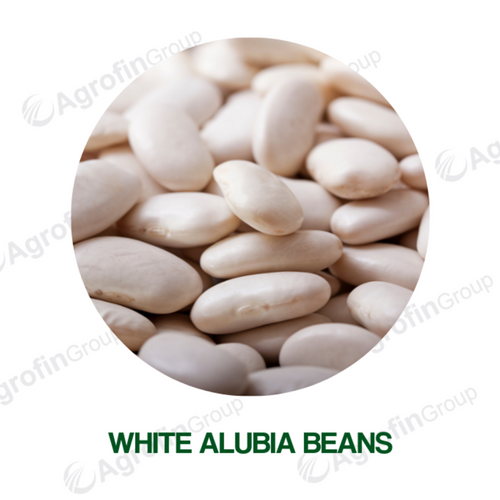 WHITE ALUBIA BEANS - Gulfood 2026