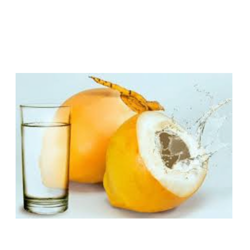 Organic King Coconut Water - Gulfood 2026