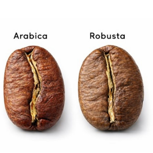 Arabica and Robusta Coffee - Gulfood 2026
