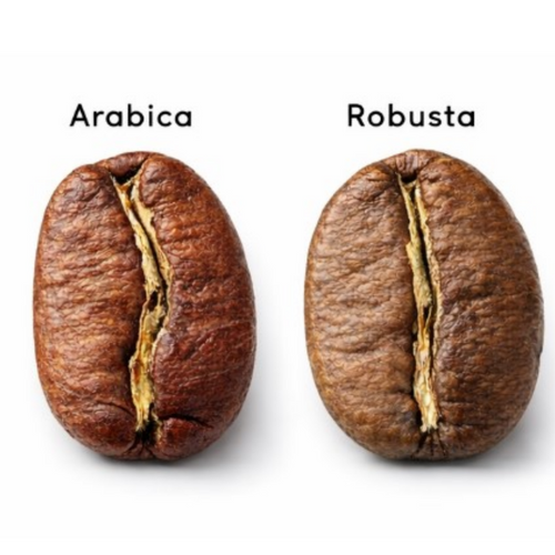 Arabica and Robusta Coffee - Gulfood 2026