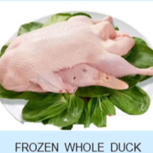FROZEN WHOLE DUCK - Gulfood 2026