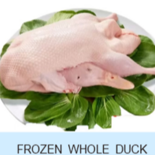 FROZEN WHOLE DUCK - Gulfood 2026